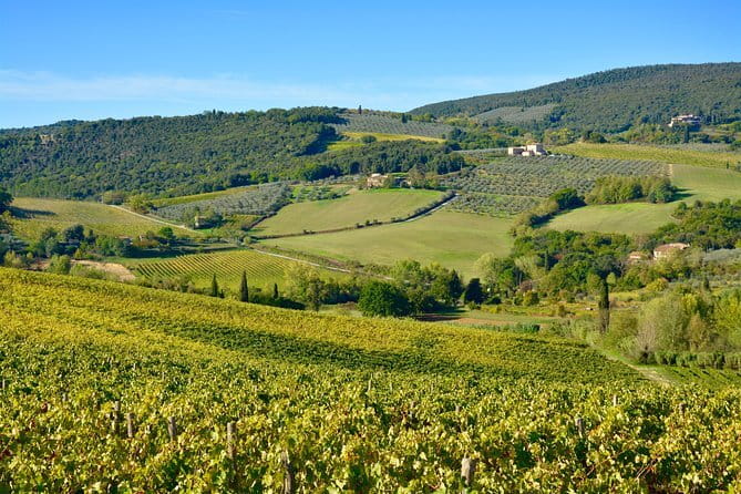 Private Tuscany Day Tour: Siena and Chianti Wine Region from Florence - The Real Value: Authenticity, Comfort, and Personalization