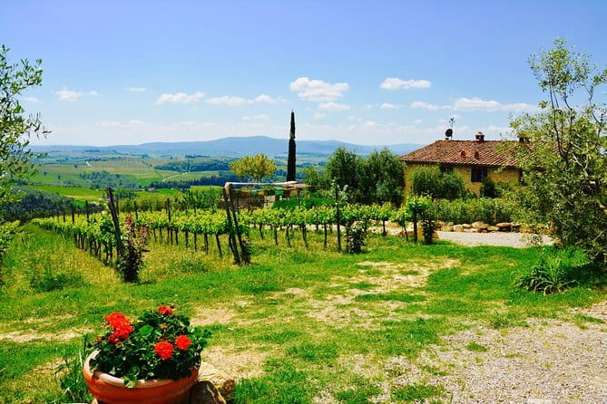 Private Tuscany Day Tour: Siena and Chianti Wine Region from Florence - Analyzing the Value and Cost