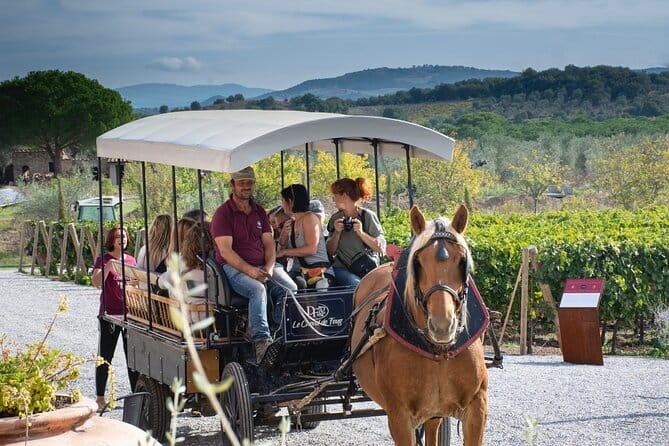 Private Tuscany Tour from Florence Including Siena, San Gimignano and Chianti Wine Region - Wrapping Up