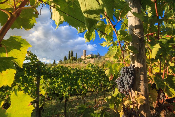 Private Tuscany Tour From Florence Including Siena, San Gimignano and Chianti Wine Region - Itinerary Highlights