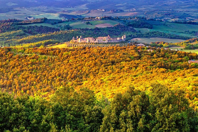Private Tuscany Tour From Florence Including Siena, San Gimignano and Chianti Wine Region - Praise for Knowledgeable and Accommodating Drivers