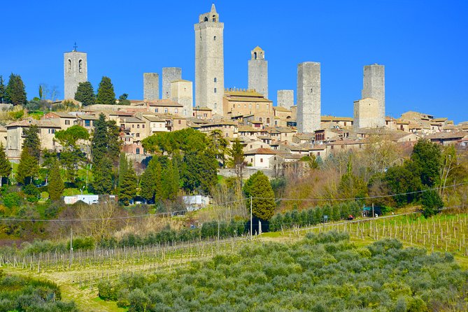 Private Tuscany Tour: Siena, San Gimignano and Chianti Day Trip - Tour Inclusions