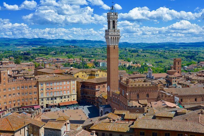 Private Tuscany Tour: Siena, San Gimignano and Chianti Day Trip - Customer Reviews and Experiences