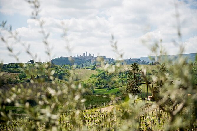 Private Tuscany Tour to Siena and San Gimignano With Winery Lunch - Private Tour Experience