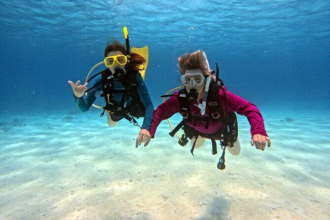 Private Two Tank Boat Dive in Bonaire 2 persons - Who Should Consider This Tour?