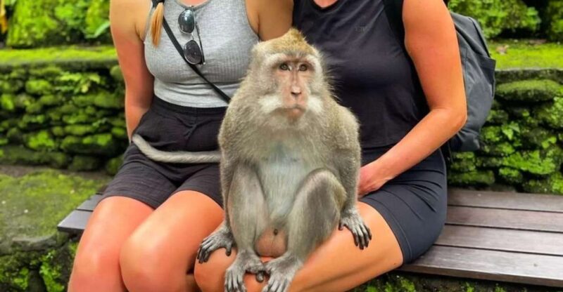 Private ubud tour Rice teracce, temple & Secret waterfall - Key Points