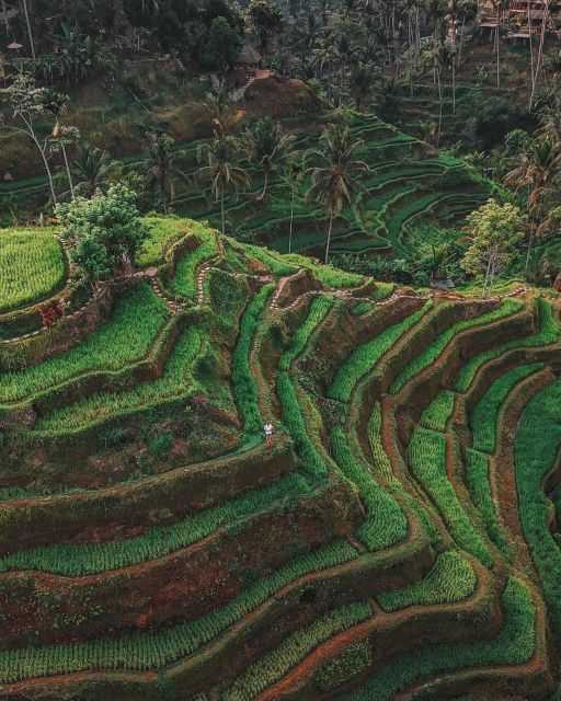 Private ubud tour Rice teracce, temple & Secret waterfall - Transport, Timing, and Group Size