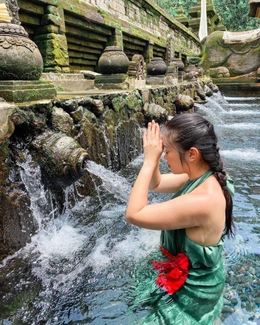 Private ubud tour Rice teracce, temple & Secret waterfall - Who Will Love This Tour?