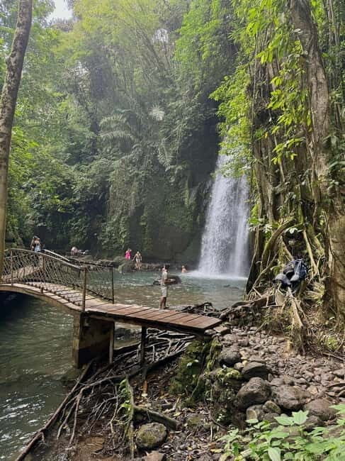 Private Ubud Tour: Sacred Monkeys, Coffee, Temple, Waterfall - The Itinerary: A Detailed Breakdown