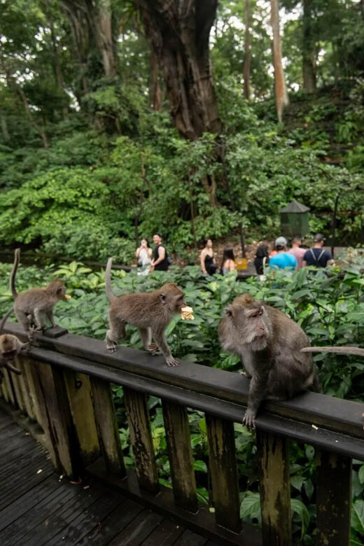 Private Ubud Tour: Sacred Monkeys, Coffee, Temple, Waterfall - Who Will Love This Tour?