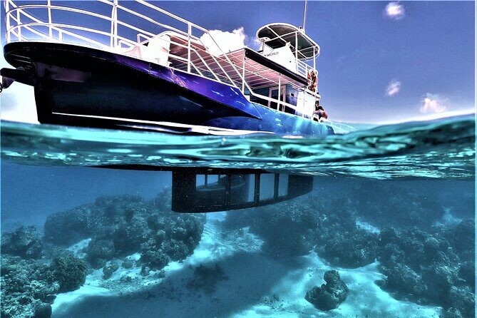 Private Underwater Excursion in the Bora Bora Lagoon - Key Points