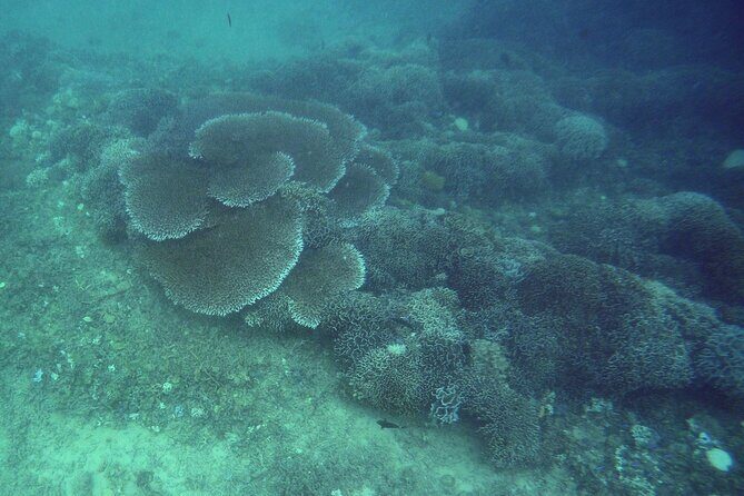 Private Undiscovered 3 Gili Islands Tour - A Detailed Look at the Experience