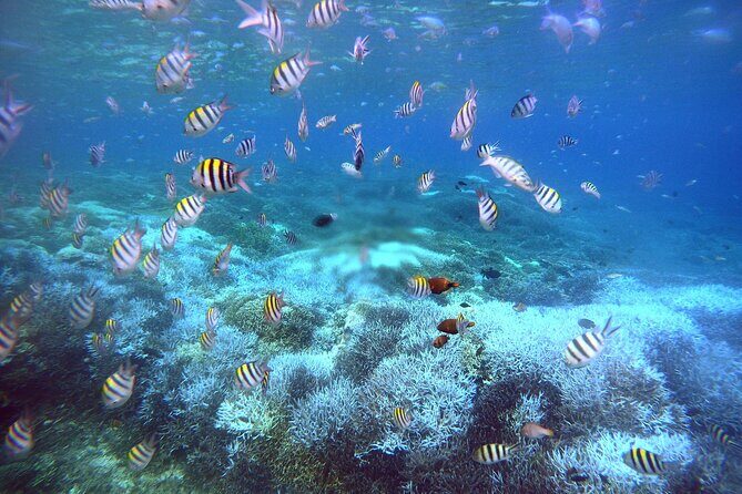 Private Undiscovered 3 Gili Islands Tour - Who Should Consider This Tour?