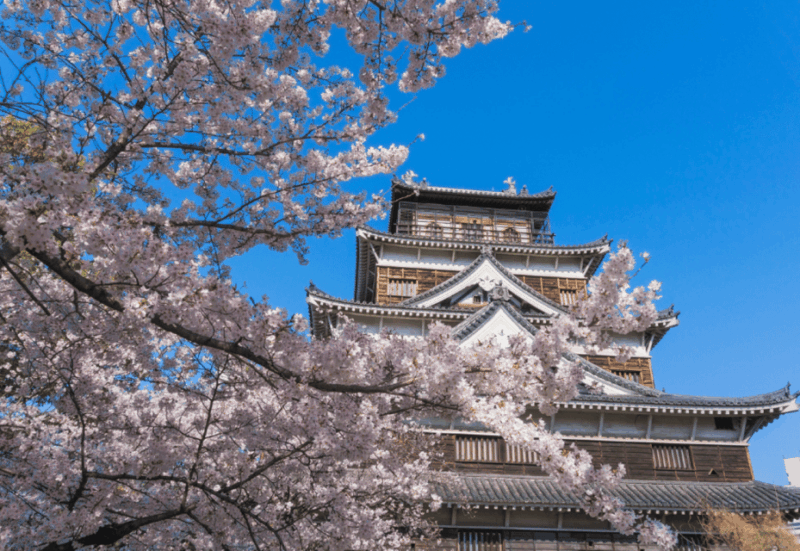 Private & Unique Hiroshima Cherry Blossom Sakura Experience - Key Points