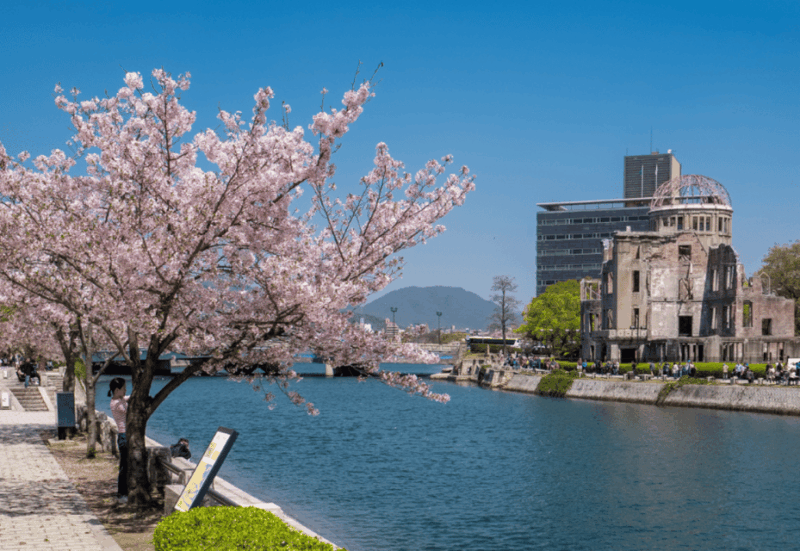 Private & Unique Hiroshima Cherry Blossom Sakura Experience - Serene Garden Strolls