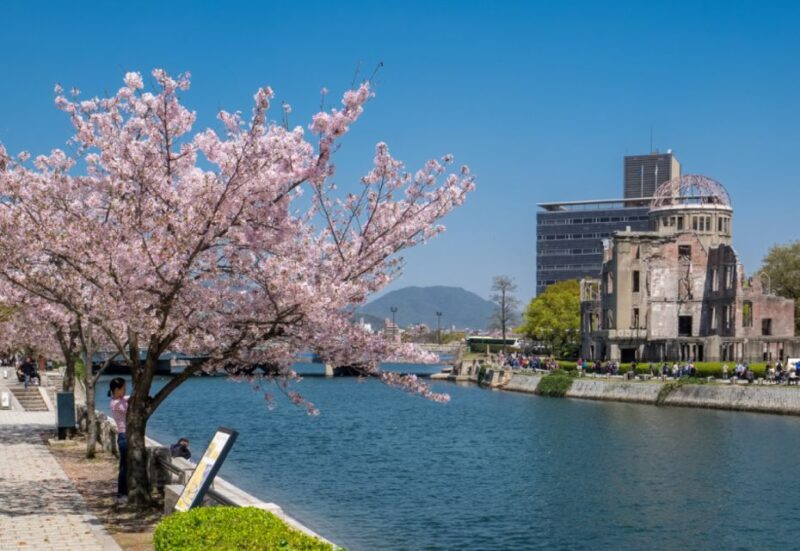 Private & Unique Hiroshima Cherry Blossom Sakura Experience - Local Insights and Appreciation