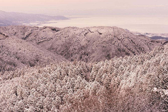 Private & Unique Kyoto Cherry Blossom Sakura Experience - Uncover Hidden Gems and Cultural Insights