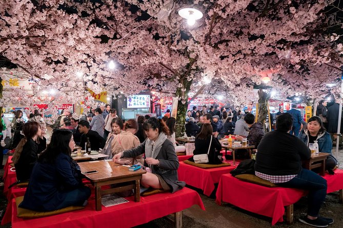 Private & Unique Kyoto Cherry Blossom Sakura Experience - Convenient Logistics and Meeting Details