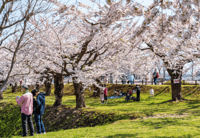 Private & Unique Nagasaki Cherry Blossom Sakura Experience - Booking Details