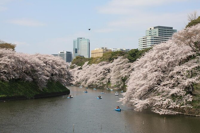 Private & Unique Tokyo Cherry Blossom Sakura Experience - Meeting Point and Duration
