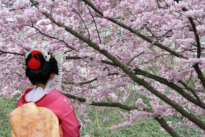 Private & Unique Tokyo Cherry Blossom Sakura Experience - Guest Reviews and Feedback