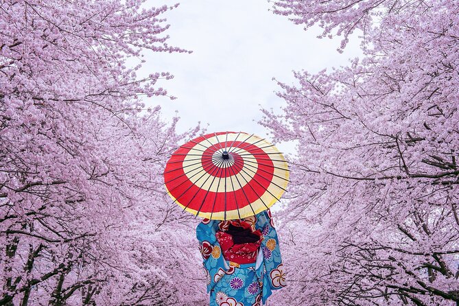 Private & Unique Tokyo Cherry Blossom Sakura Experience - Cancellation and Booking Policies