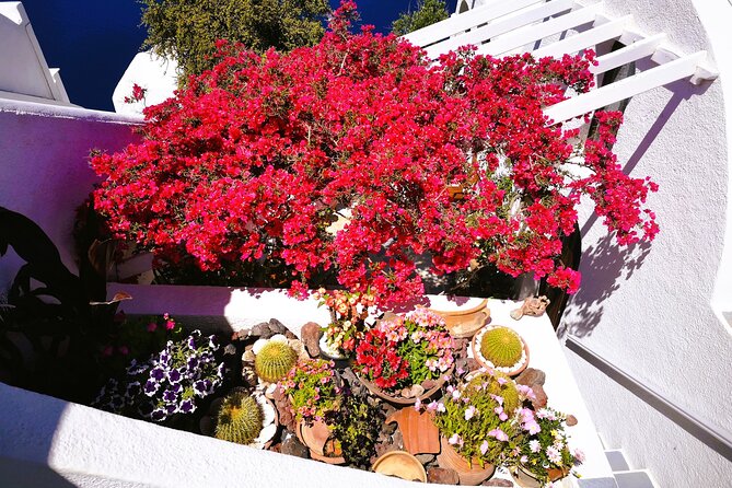 Private Unseen Authentic Santorini Half Day Shore Excursion - Pickup Information