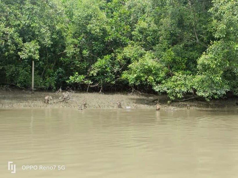 Private Unseen Mangrove Forest and Floating & Railway Market - Discovering the Mangrove Forest and Conservation Center
