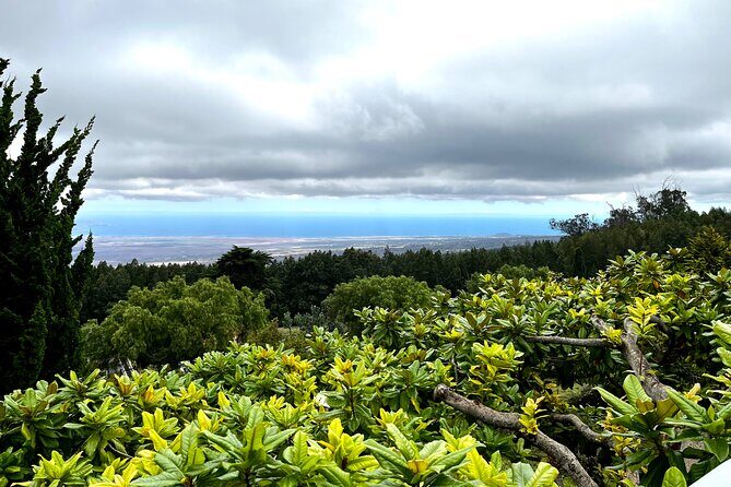 Private Upcountry Farm Tour on Maui - An In-Depth Look at the Maui Upcountry Farm Tour