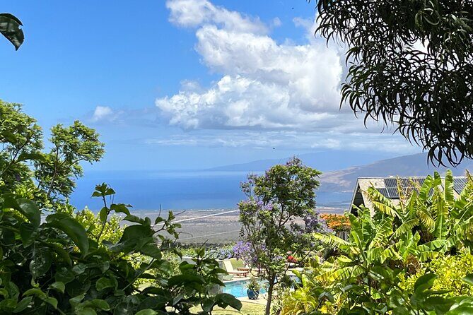 Private Upcountry Farm Tour on Maui - The Tasty Finale: Local Food and Picnic Lunch