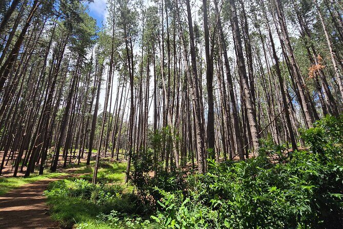 Private Upcountry Hiking Tour - Key Points