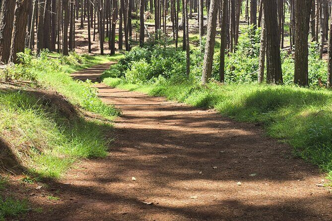 Private Upcountry Hiking Tour - What to Keep in Mind Before Booking