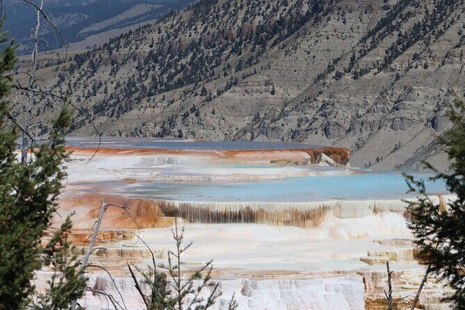 Private Upper Loop Grand Teton, Lower Loop Scenic & Wildlife 3 Day Tours - Who Will Love This Tour?