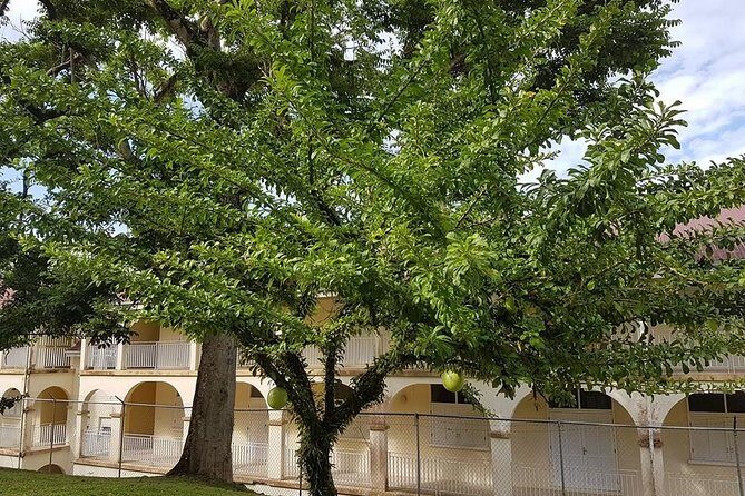 Private (UVF) Hewanorra International Airport Round Trip Transfers - The Itinerary in Detail