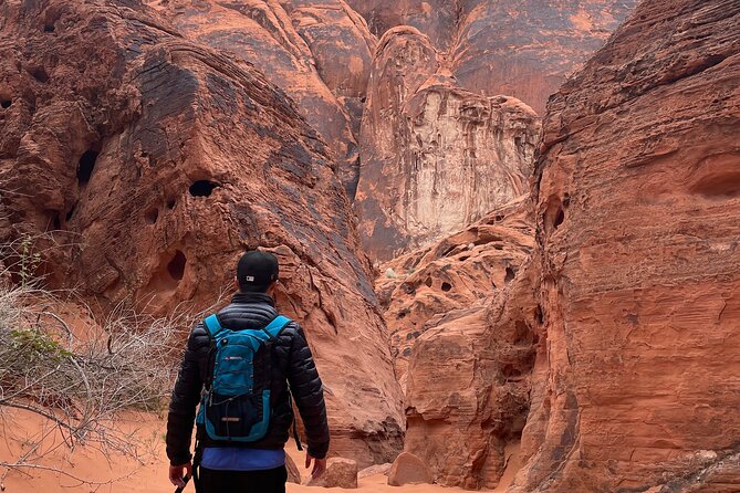 Private Valley of Fire Hiking and Sightseeing Adventure - Knowledgeable Guide: Adams Expertise and Insights