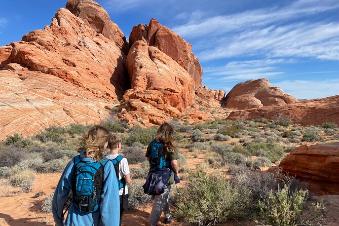 Private Valley of Fire Hiking and Sightseeing Adventure - Logistics and Pickup Options