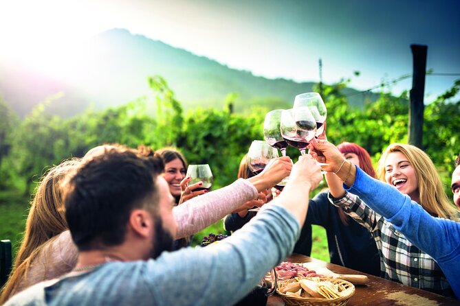 Private Valpolicella Day Trip From Venice: Wine Tasting and Verona - Itinerary and Activities