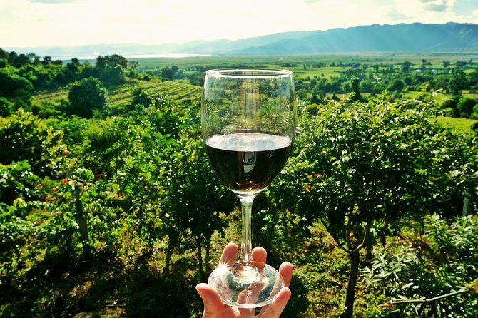 Private Valpolicella Day Trip From Venice: Wine Tasting and Verona - Customer Reviews and Feedback