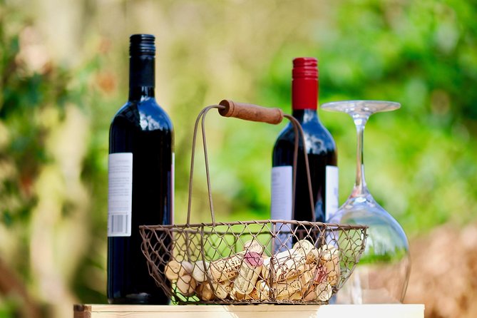 Private Valpolicella Day Trip From Venice: Wine Tasting and Verona - Exploring the Scenic Valpolicella Region