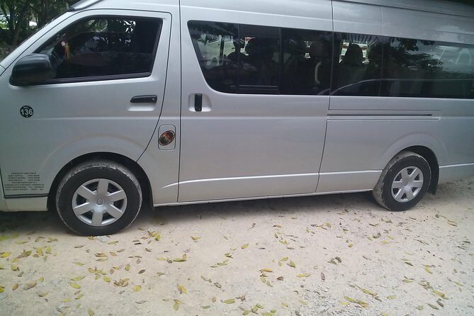 Private Van Ocho Rios Custom Sightseeing Tours - Introduction