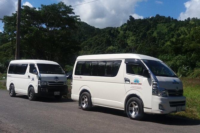Private vehicle transfer Fiji Marriot Momi Bay to Nadi Airport - Who Should Book This Transfer?