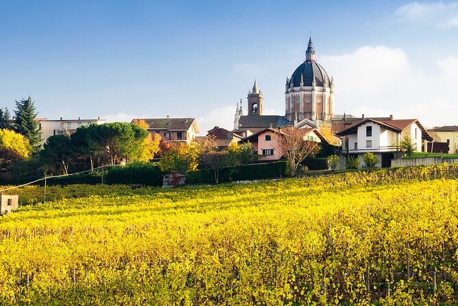 Private Vespa Tour "Among the hills of Barolo and Barbaresco" - Introduction