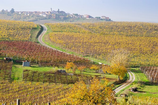 Private Vespa Tour "Among the hills of Barolo and Barbaresco" - The Experience on the Ground