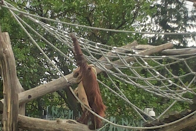 Private Vienna Sightseeing Tour matching to personal Interests - Who Would Love This Tour?