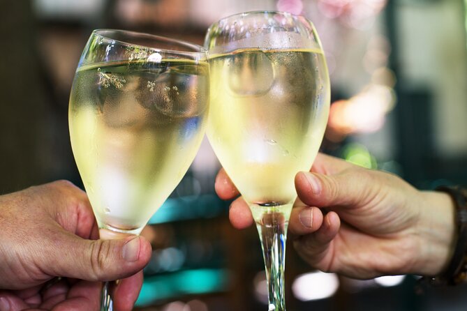 Private Vienna Wine Tour with Top Austrian Wines and Tapas - Introduction