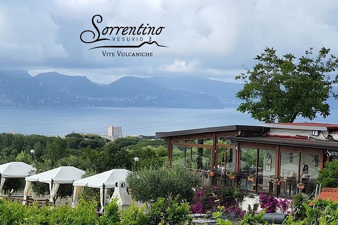 Private Vineyard Tour and Lunch With Dedicated Sommelier and Private Trasport - Stunning Views of Naples Coastline