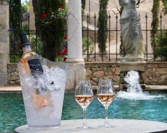 Private Vineyard Tour of Provence from Nice - An Authentic Taste of Provence: Private Vineyard Tour from Nice