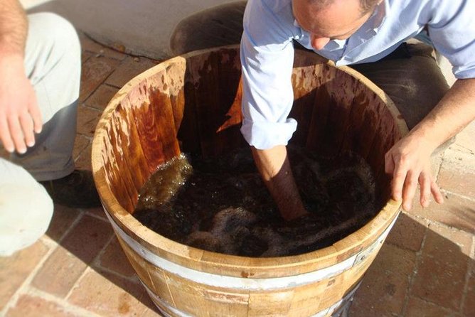 Private Vineyard Visit: Wine Tasting, Local Delicacies & Ceramics - Final Thoughts: Who Should Book This Tour?