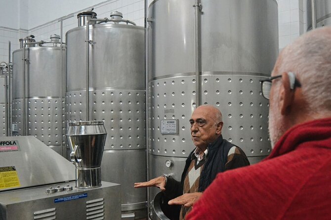 Private Vinho Verde Region Wine Tour From Porto Including Lunch - Exploring Celorico De Basto and Amarante