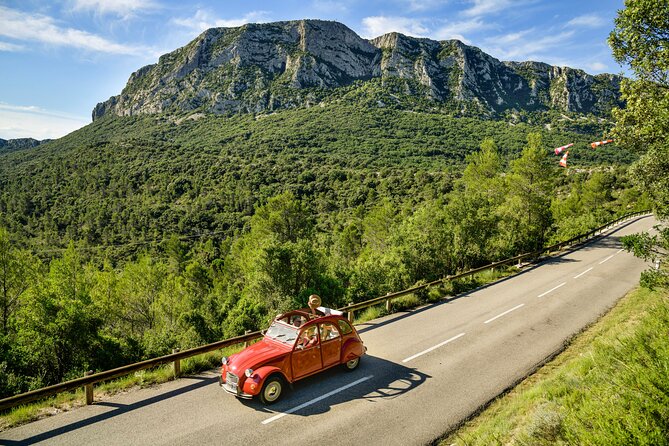 Private vintage car half-day wine tour in 2CV - Who Should Book This Tour?